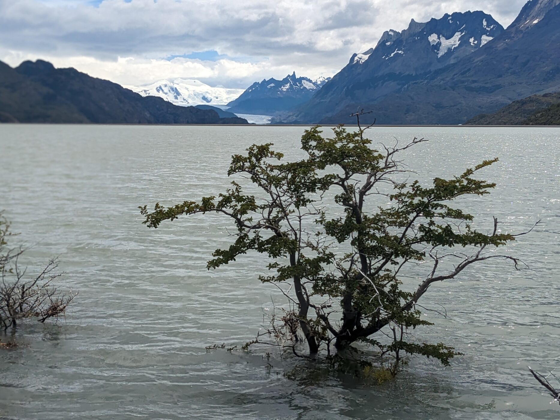 A Self-Guided Tour of Torres del Paine With Little Kids